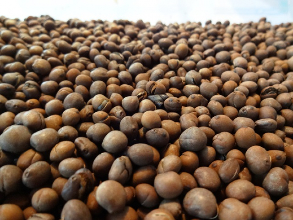 Biolandhof Kelly Shop - Lupinenkaffee